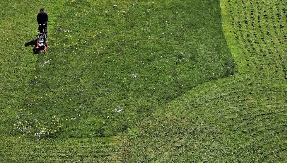 Rotavating – Why, When, & How to Rotavate lawn(Explained)