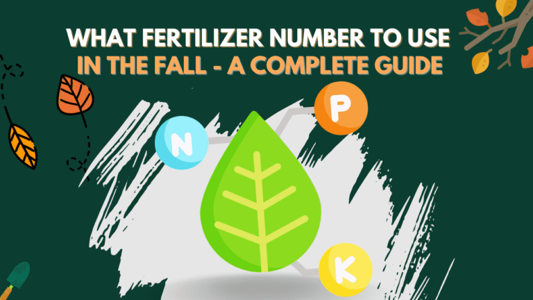 What Fertilizer Numbers To Use In The Fall? – A Complete Guide