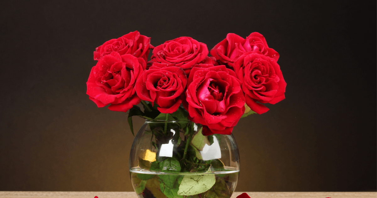 7 Flowers To Give Your Girlfriend This Valentine’s Week