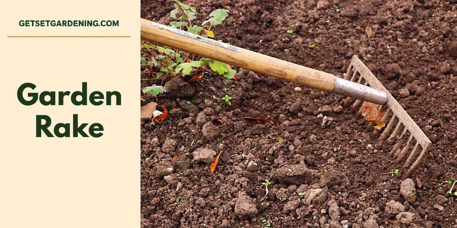 14 Must-Have Tools That Will Make Gardening Easy & Fun