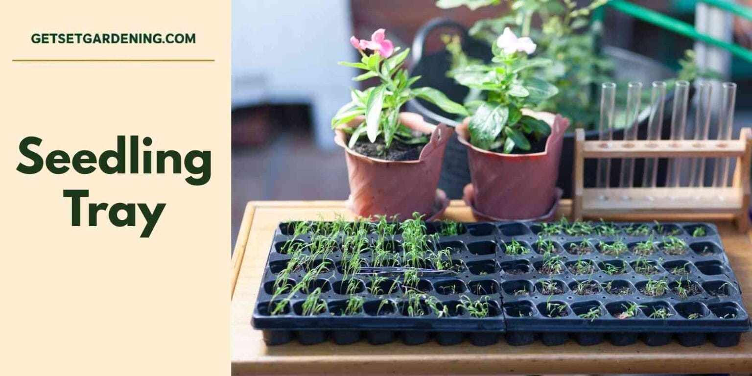 14 Must-Have Tools That Will Make Gardening Easy & Fun