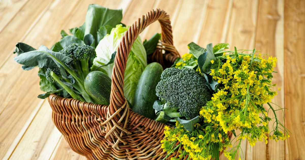 September Planting Guide: What To Plant Now For Fall And Spring Success