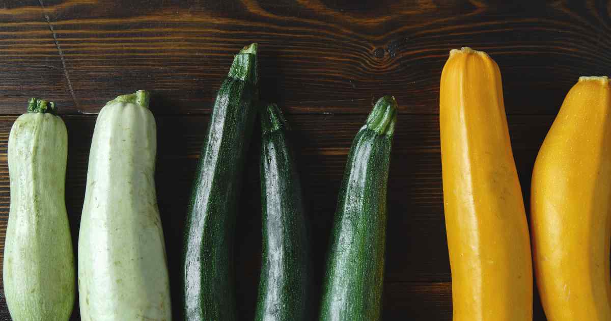 How To Grow Zucchini At Home - Beginner's Guide
